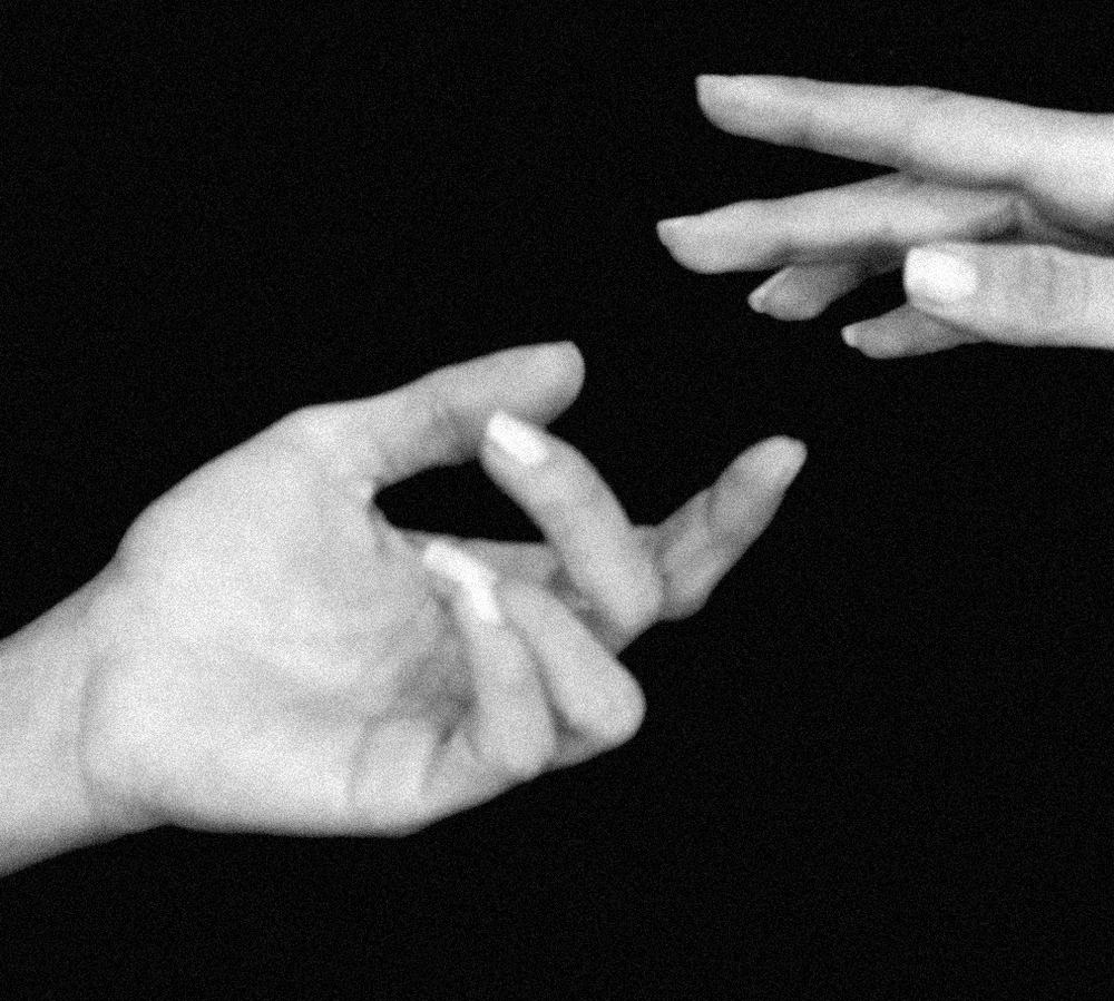 The Difference between the Signals | Triple Canopy